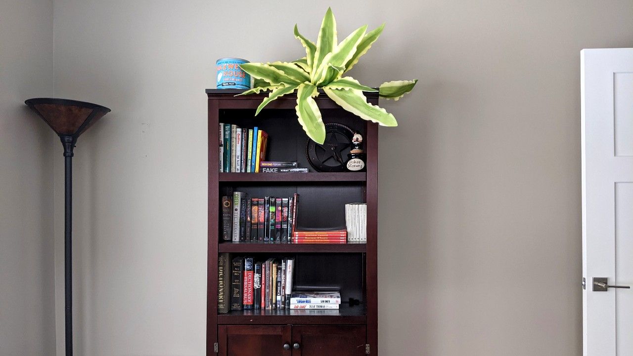 Custom Home Office Ideas for Working from Home